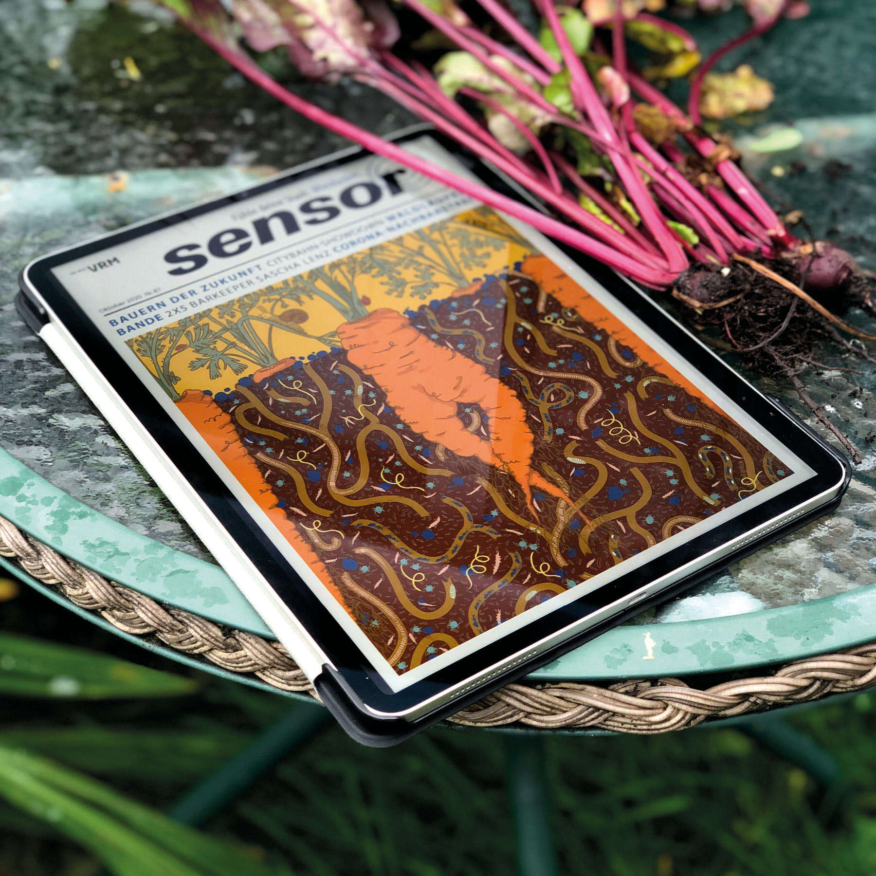 Sustainability | Sensor Wiesbaden | Magazine Cover Art | Ida Henrich